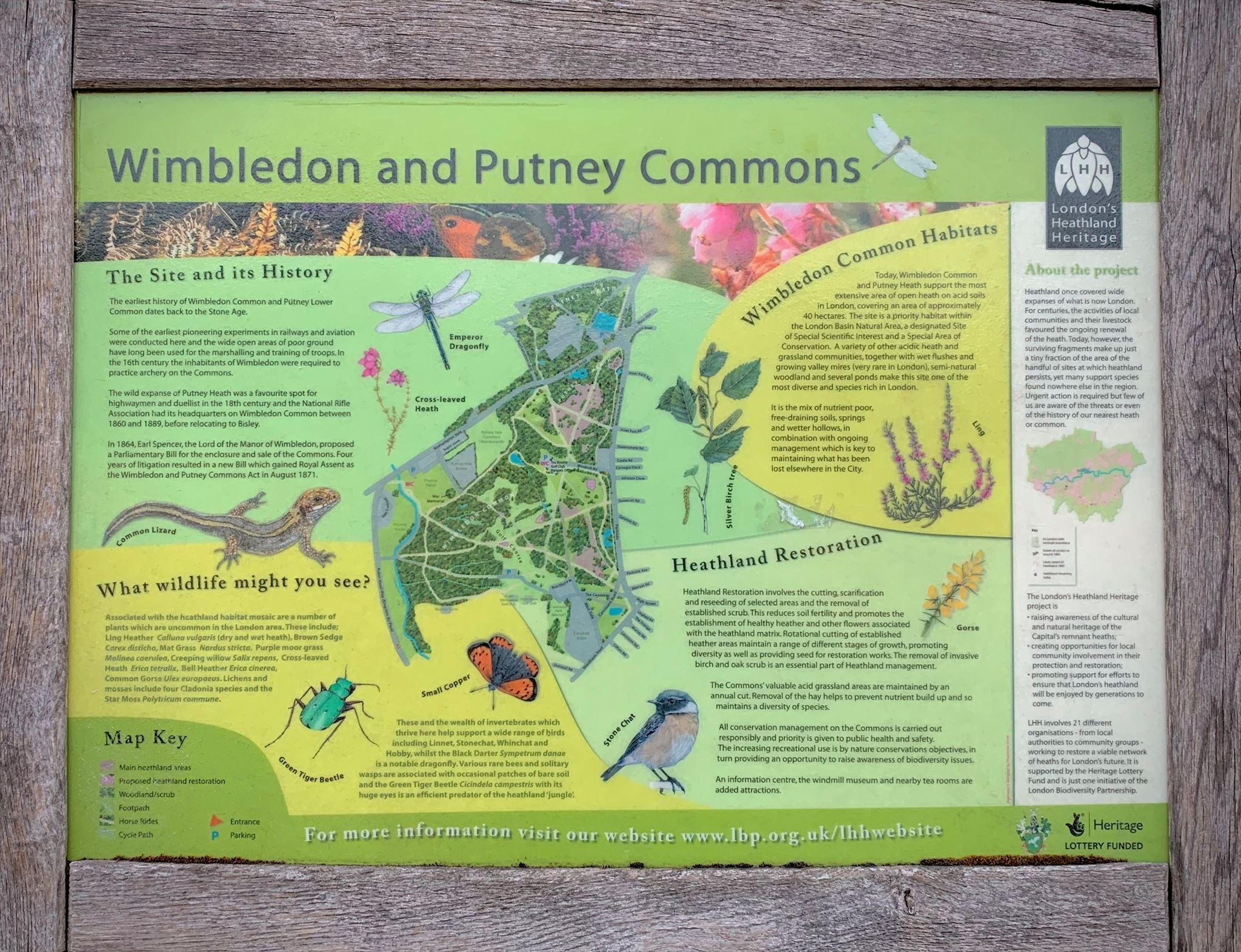 GC8XTRW Wimbledon Common, Home of the Wombles (Unknown Cache) in London ...