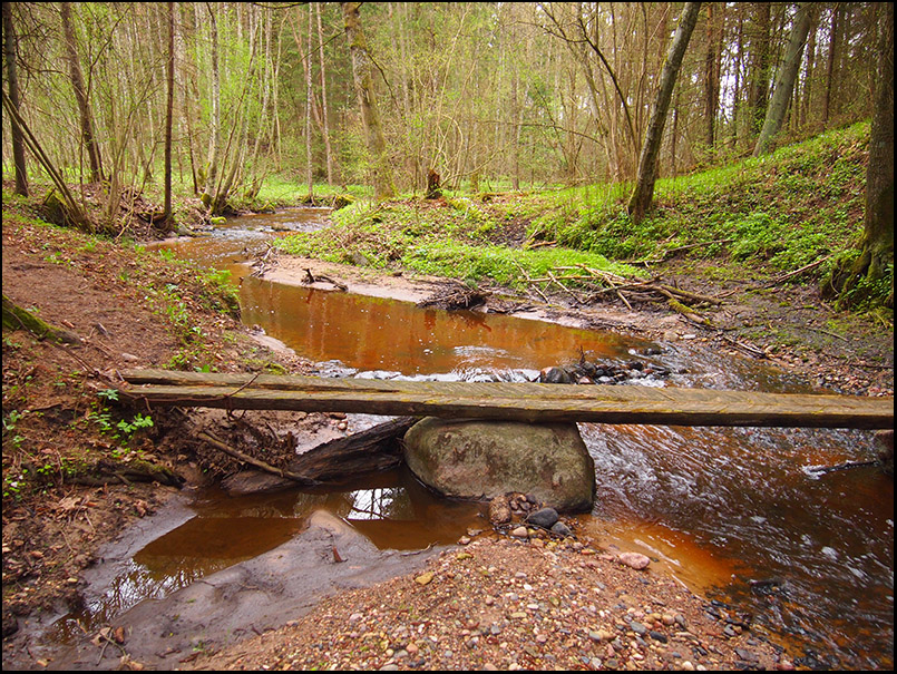 GC6H03X Lietava (Traditional Cache) in Lithuania created by ly3nml