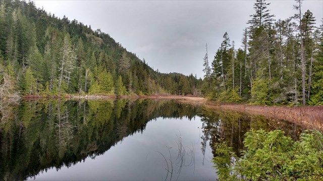 GC1MH90 Peden Lake (Traditional Cache) in British Columbia, Canada ...