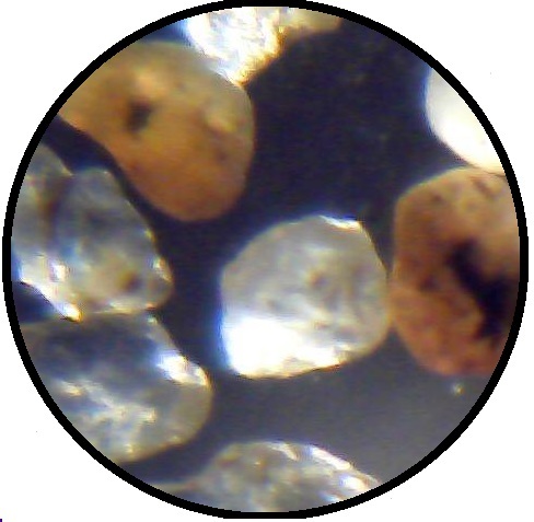 GC8DVQ3 Anholts sand og klitter (Earthcache) in Region Midtjylland ...