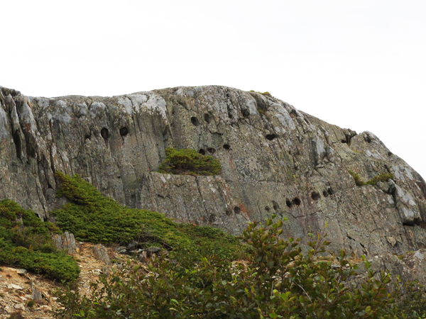 GC89JBX The Devil's Footprints (Earthcache) in Newfoundland and ...