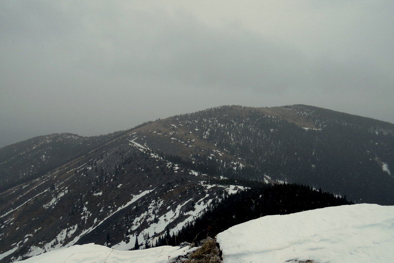 GC70QAE South Highwood Ridge Summit (Traditional Cache) in Alberta ...