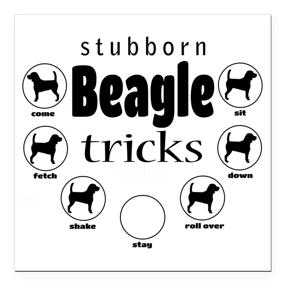 GC7055D Aroo (Letterbox Hybrid) in New Hampshire, United States created ...