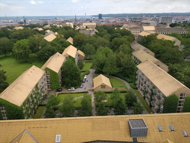 GC88ZGF Det Kgl. Bibliotek (Virtual Cache) in Region Midtjylland ...