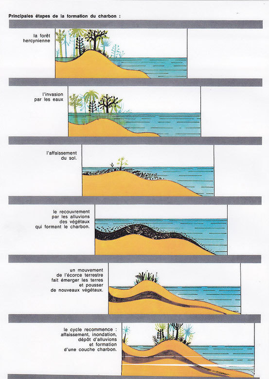 GCA5MAW [MegaOignies] EC #06 La formation du charbon 🌍 (Earthcache) in ...