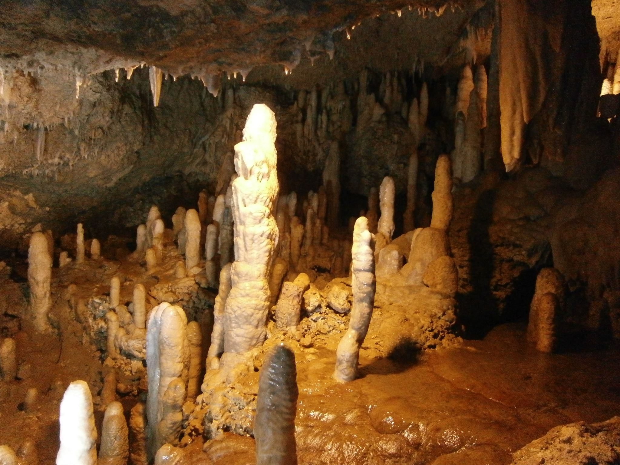 GC6Y08T Land unter 37 - Das kleine Barbadium (Unknown Cache) in Hessen ...