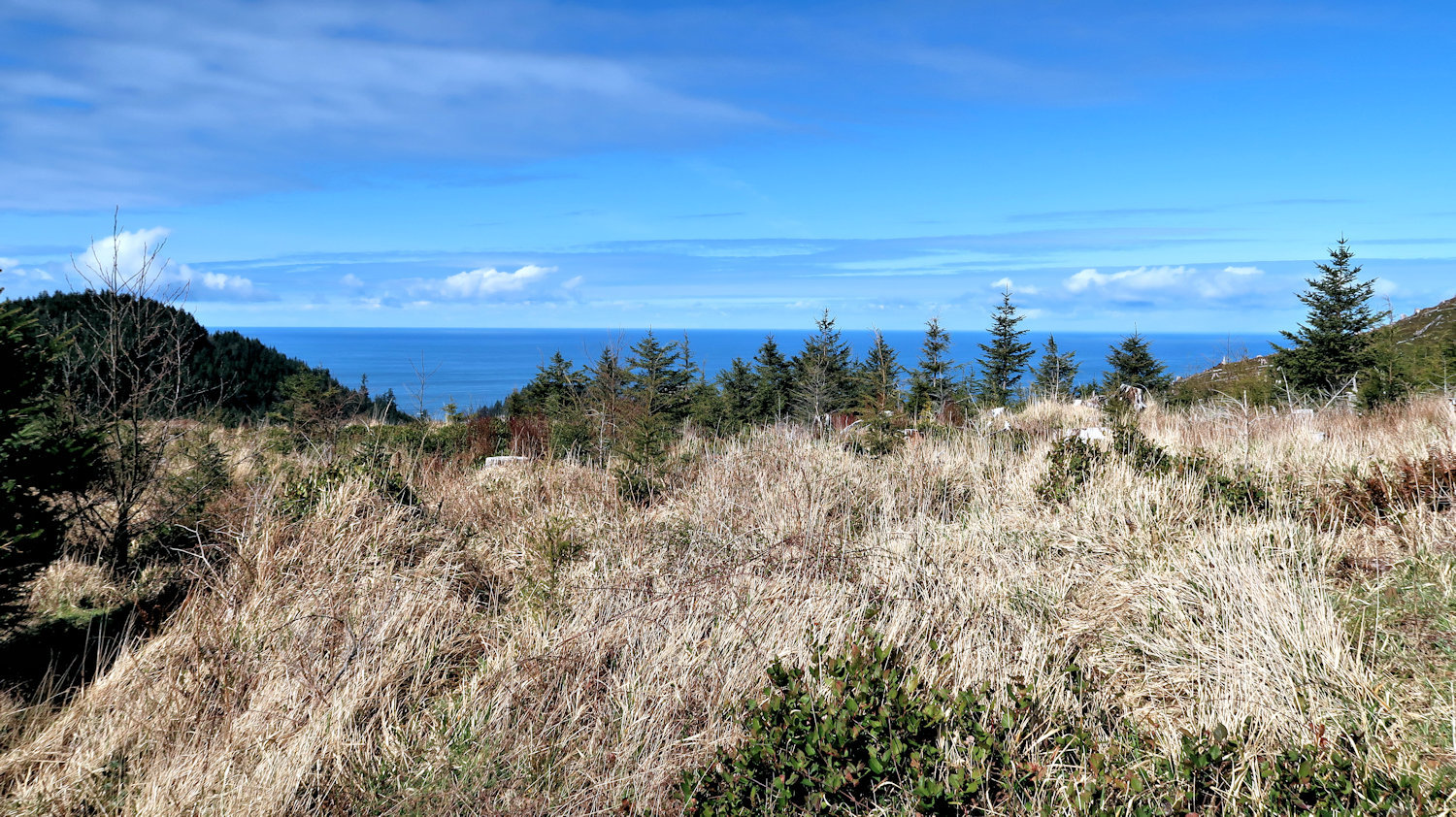 GC8NRNM Angora Turn (Traditional Cache) in Oregon, United States ...