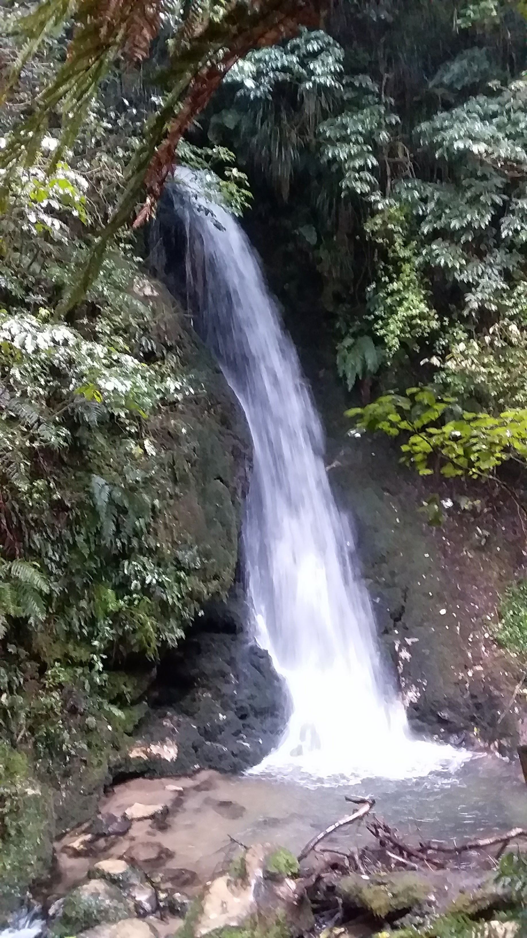 GC7PJ7V Falling Water (BOP) (Traditional Cache) in North Island, New ...