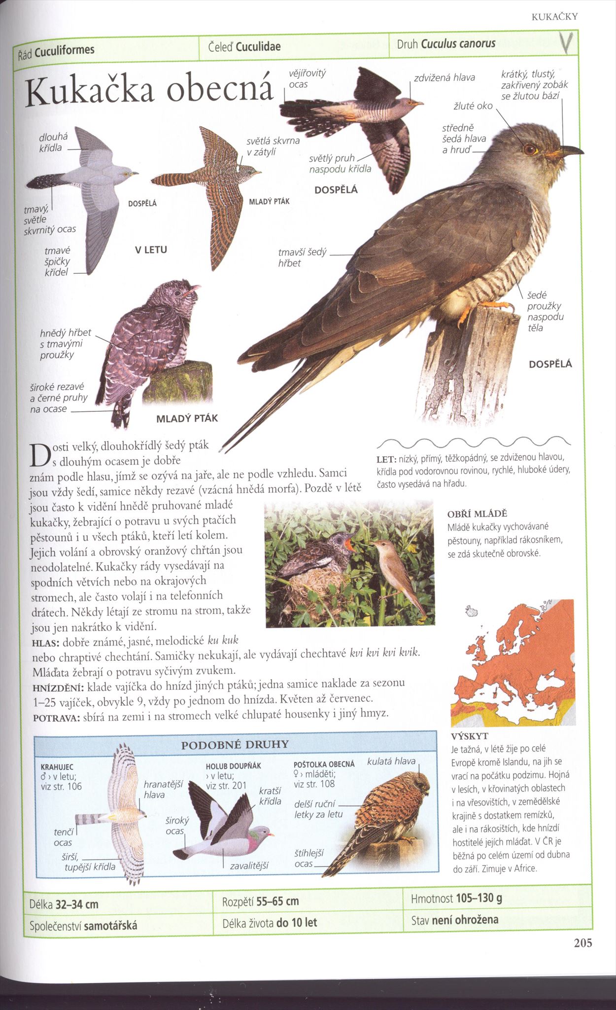 GC778JV DWPM4 - Kukacka (Unknown Cache) in Zlínský kraj, Czechia ...