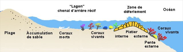 GC6XBG3 Corail et Lagon - Tahiti (Earthcache) in French Polynesia ...