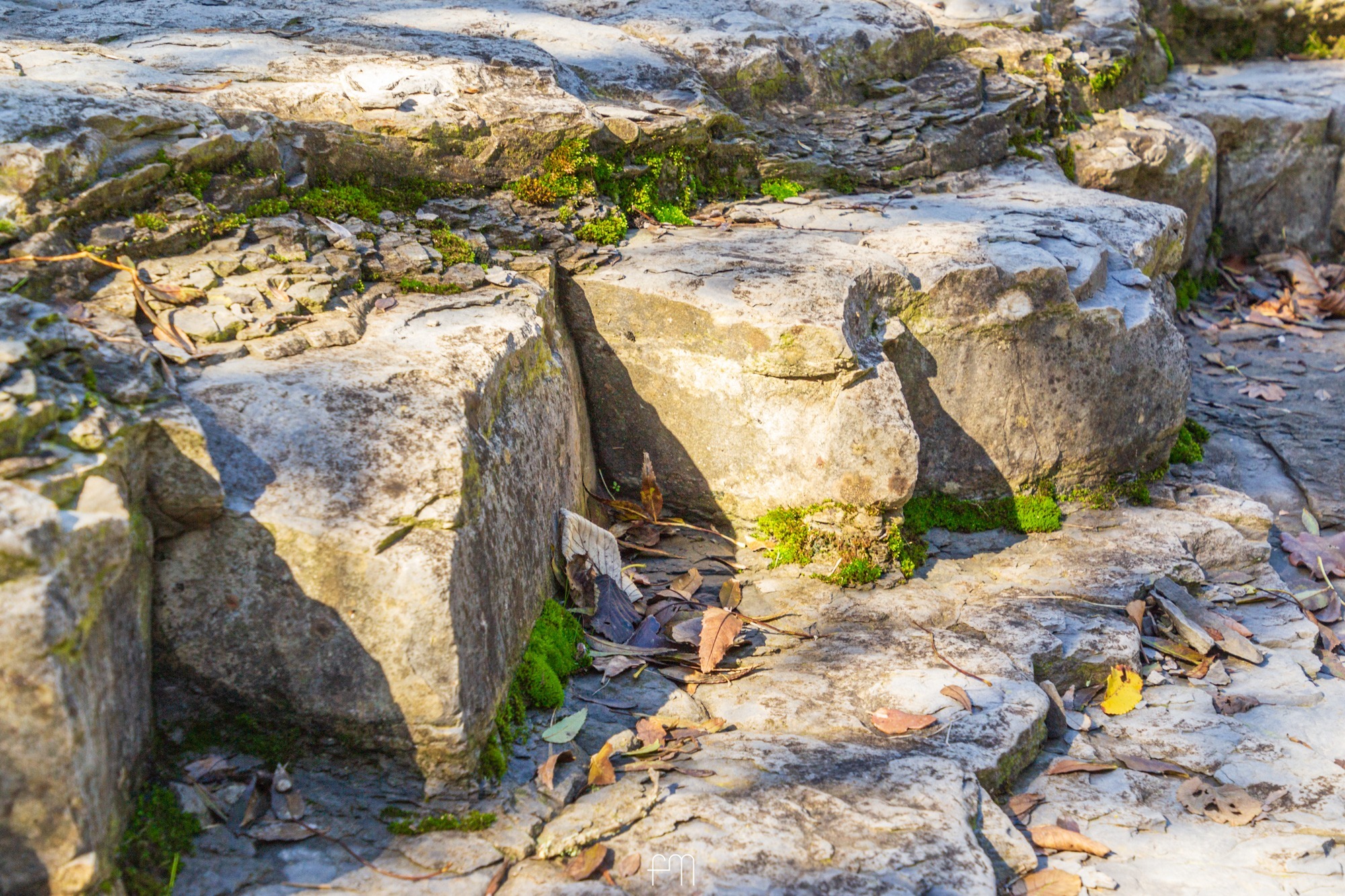 GCA9EHA Les strates de la dalle aux fossiles de Fressac (Earthcache) in ...