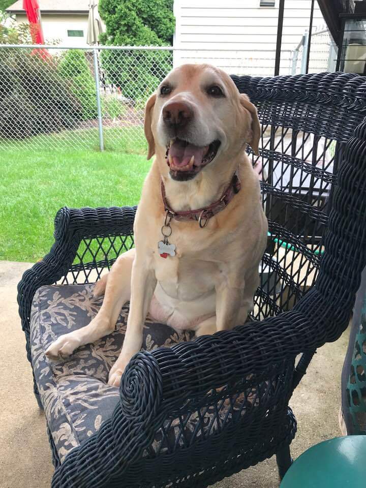 GC9DR7Z 026 bow-wow: Mrs Sandy (Unknown Cache) in Illinois, United ...