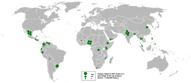 GC6ZY1Y Papaya (Traditional Cache) in Florida, United States created by ...