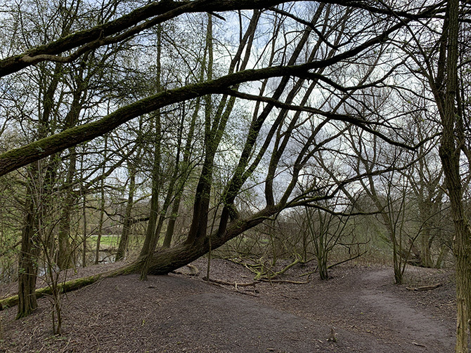 GC984Y9 Het Ruige Riet (Traditional Cache) in Noord-Holland ...