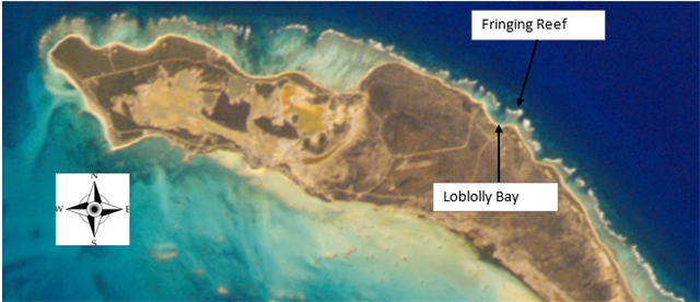 GC6CA1B Loblolly Bay – Crenulated Beauty in a Drowned Land (Earthcache ...