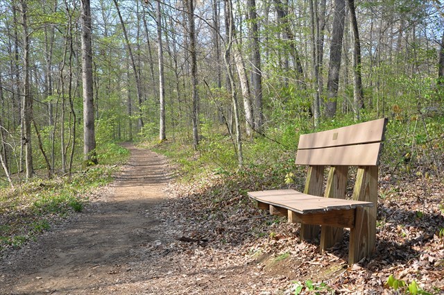 GC8PRE7 Daniel’s Project - South Boone Trace Trail (Traditional Cache ...