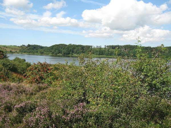 GC1WY3P # 04 - KILEN - XTRA (Traditional Cache) in Denmark created by ...