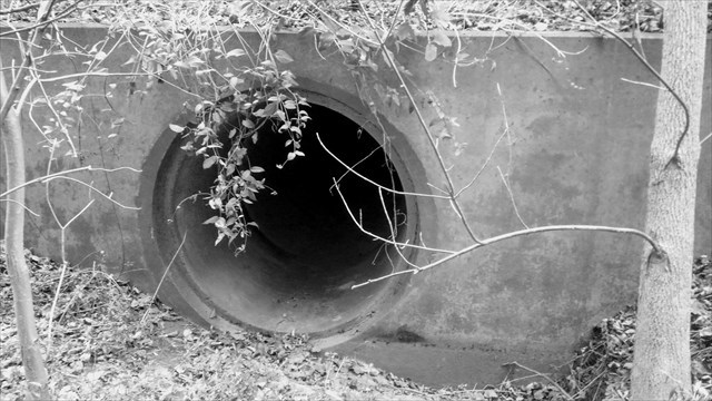 GC7Z4JB The Heebee Jeebees 2 (Bats in the Belfry) (Letterbox Hybrid) in ...