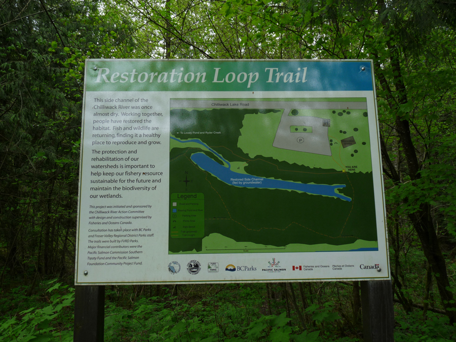 GC27J2C Restoration Trail (Traditional Cache) in British Columbia ...