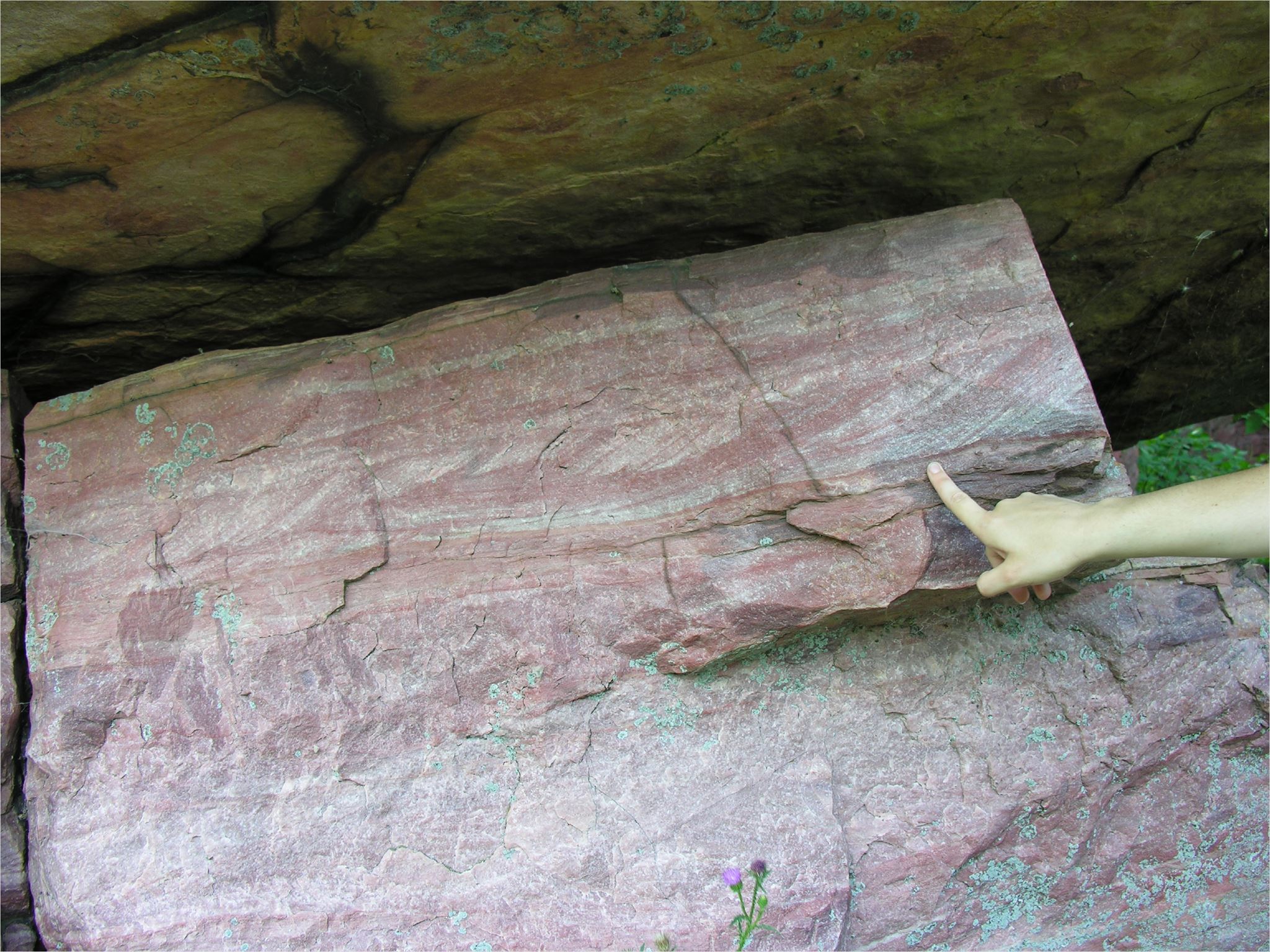 GC77N8B We Built this Campus with Sioux Quartzite (Earthcache) in South ...