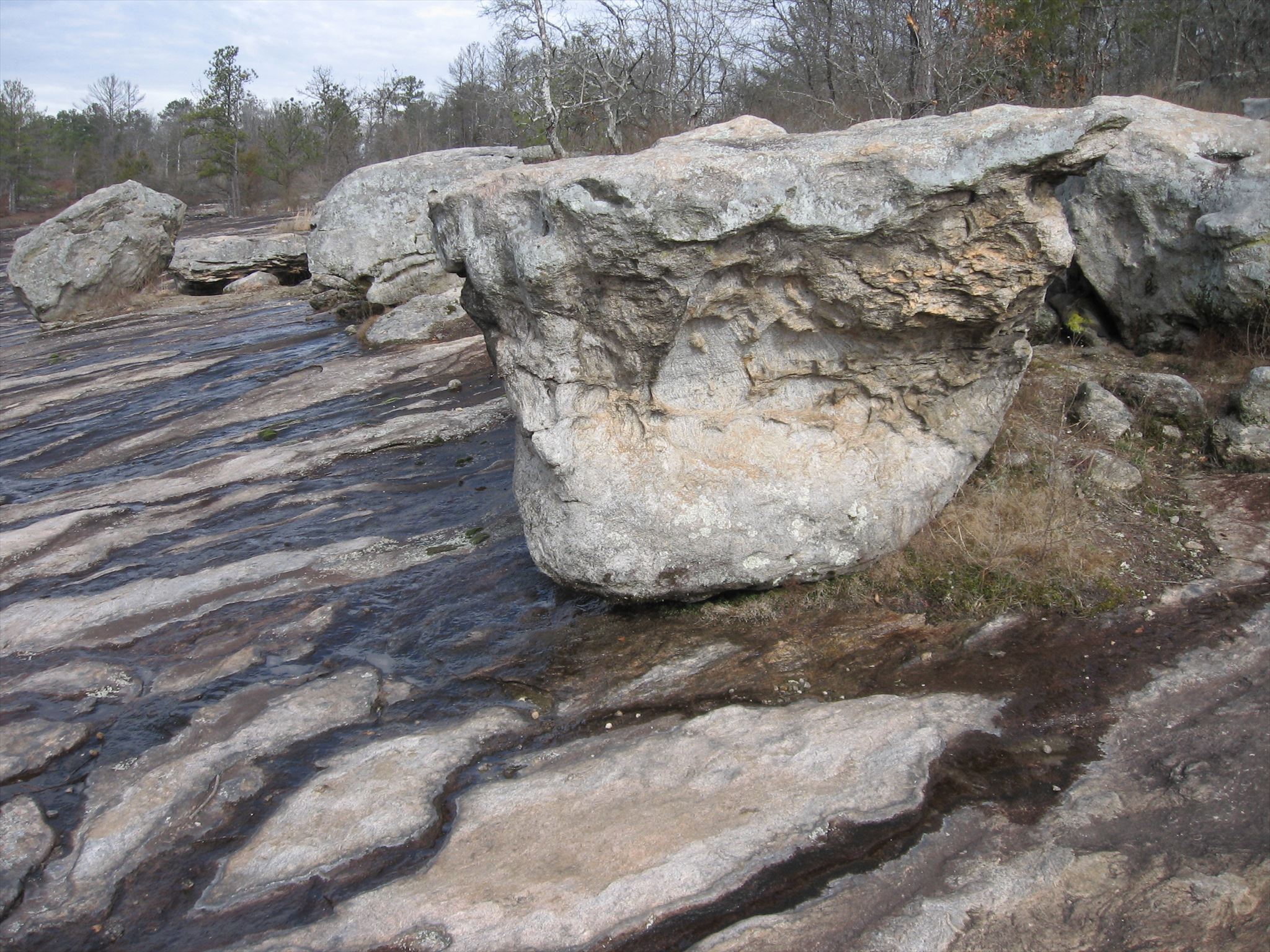 GC7JHZJ AMNHA: Lizard Rocks (LLV) (Traditional Cache) in Georgia ...