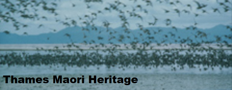 GC8CXFM TMGT - Thames Māori Heritage (Traditional Cache) in North ...