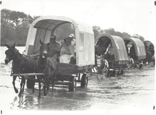 GC7VEKA OLR GeoArt - Chapter 7 - Boomer Movement (Unknown Cache) in ...