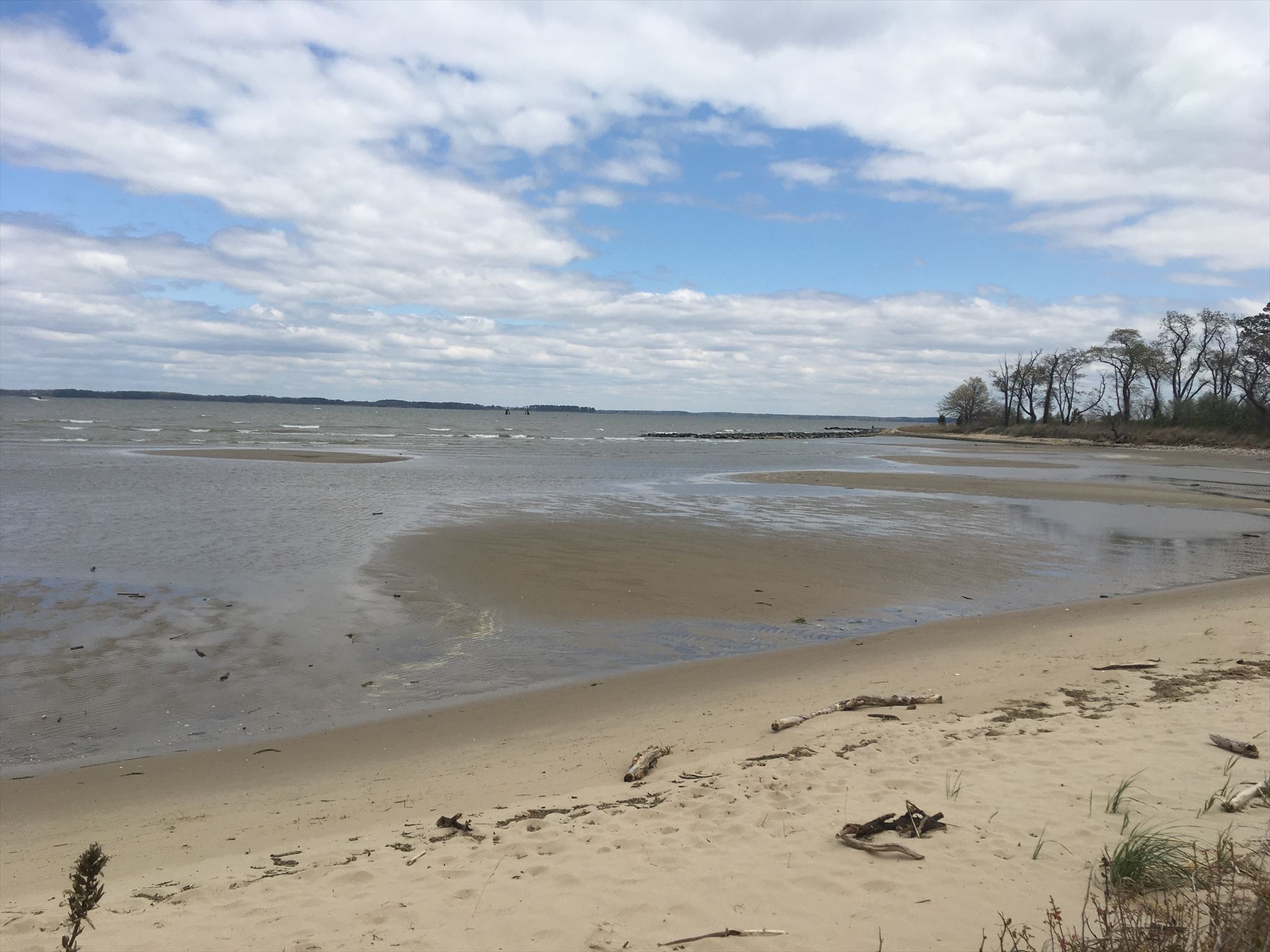 GC7KB1V FYC - Ferry Point Park (Multi-cache) in Maryland, United States ...