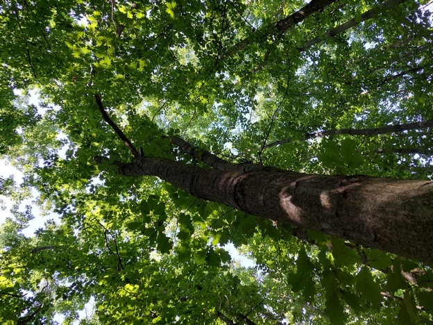 GC9Y1Y1 PSVB 1. (biltema) (Traditional Cache) in Středočeský kraj ...