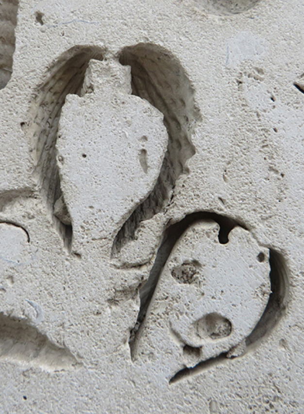 GC7RYJ1 Portland Roach, Weymouth Harbour (Earthcache) in Southern ...