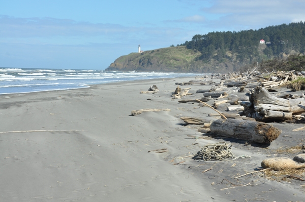 GC6N8N8 Cape Disappointment State Park Benson Beach [CDS] (Traditional ...