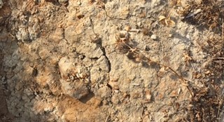 GC87P6E Christianitos South Trail - Capistrano Formation (Earthcache ...