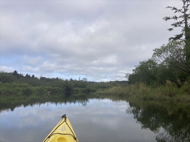 GC9ZFBV Spruce Over Slough (Traditional Cache) in Oregon, United States ...