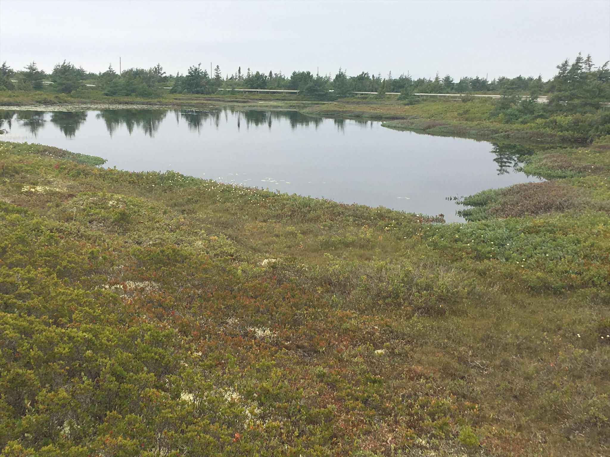 GC7XEVF Les tourbières , The peat bogs (Earthcache) in New Brunswick ...