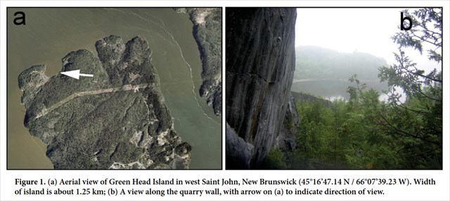 GC8871A Limestone in Saint John (Earthcache) in New Brunswick, Canada ...