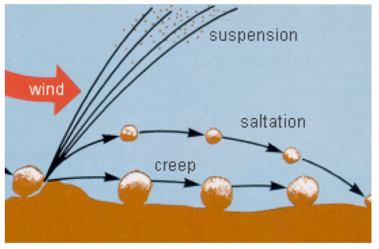 GC6WT0Y Freshwater Coastal Sand Dune - Burlington Beach (Earthcache) in ...
