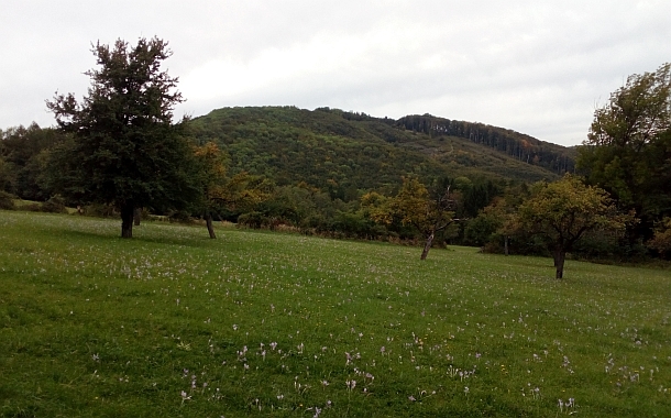 GC8DC9J Kopanica (Traditional Cache) in Trenčiansky kraj, Slovakia ...