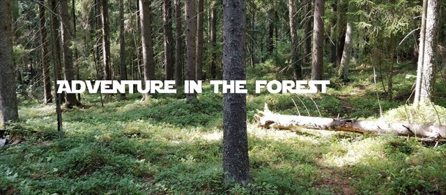 GC8BT79 Adventure in the forest #5 (Unknown Cache) in Finland created ...