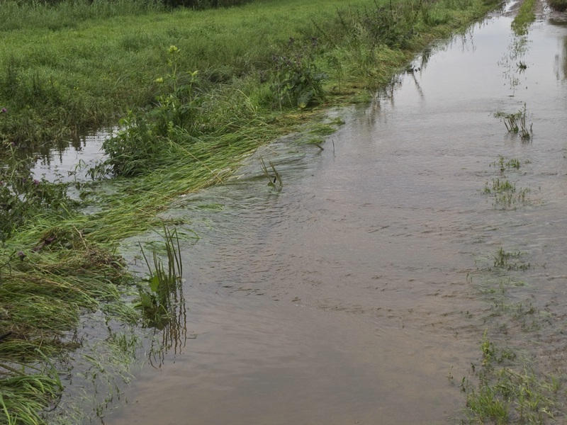 GC6TNV5 Die Datze (zweite Auflage) (Traditional Cache) in Mecklenburg ...