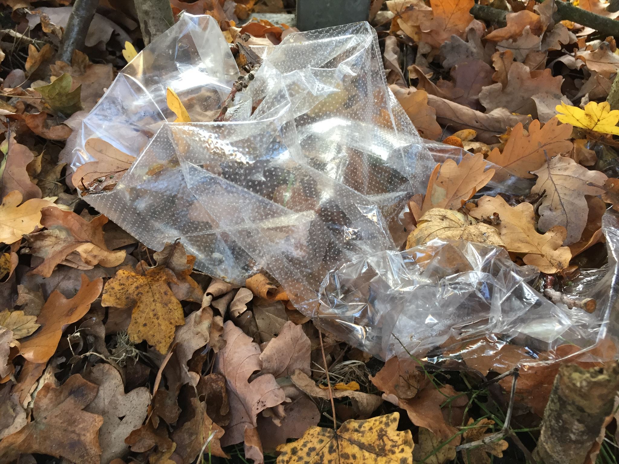 GC8FNCE Trash Cache (Traditional Cache) in Utrecht, Netherlands created ...