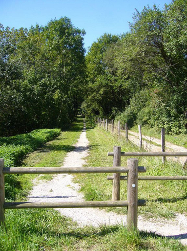 GC6WVEM Sur le Chemin vert (Traditional Cache) in Bourgogne-Franche ...