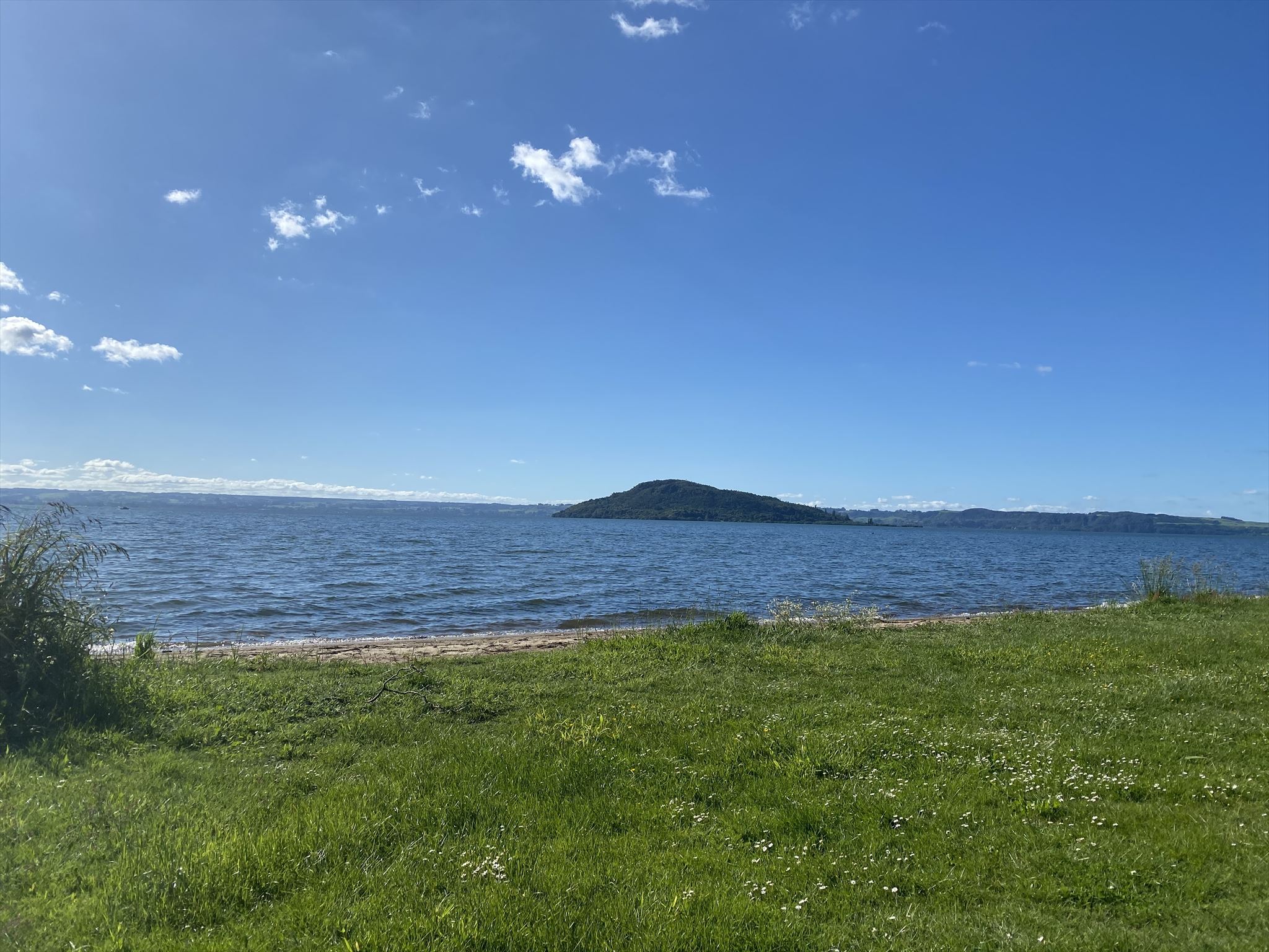 GC92EY1 Dinosaur Certify (Rotorua) (Traditional Cache) in North Island ...