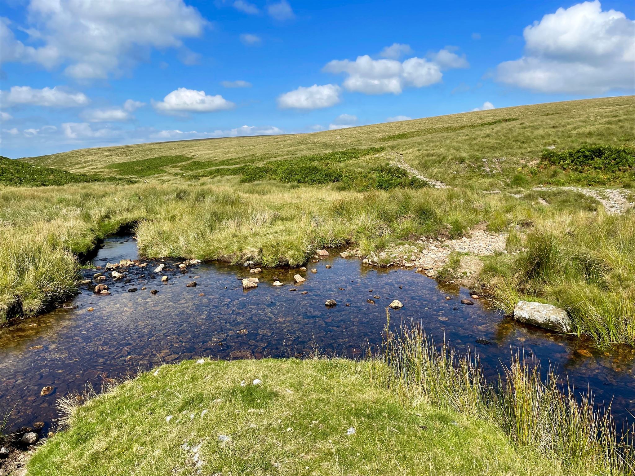 GC9FKHB Plym Steps (Traditional Cache) in South West England, United ...