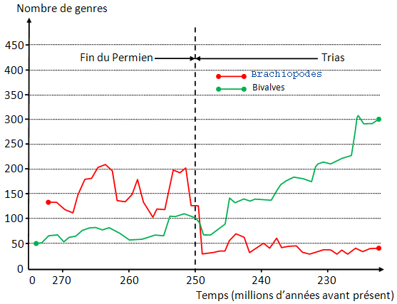 GCA63CK [MegaOignies] EC #09 Brachiopoda! 🌍 (Earthcache) in Hauts-de ...
