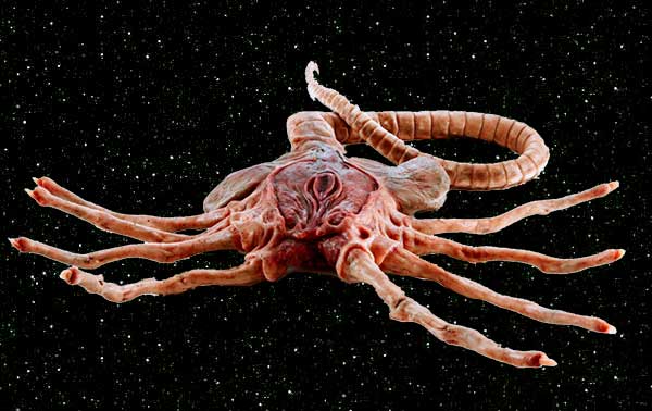 GC6HMQ8 Aliens RED # 3 (Traditional Cache) in Středočeský kraj, Czechia ...