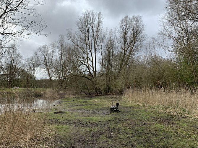 GC984Y9 Het Ruige Riet (Traditional Cache) in Noord-Holland ...