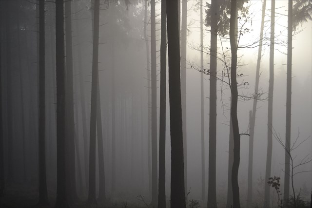 GC5N6KP Obora Rovna (Multi-cache) in Jihomoravský kraj, Czechia created ...