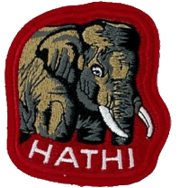 GC75FR7 CS100 - Hathi (Traditional Cache) in Québec, Canada created by ...