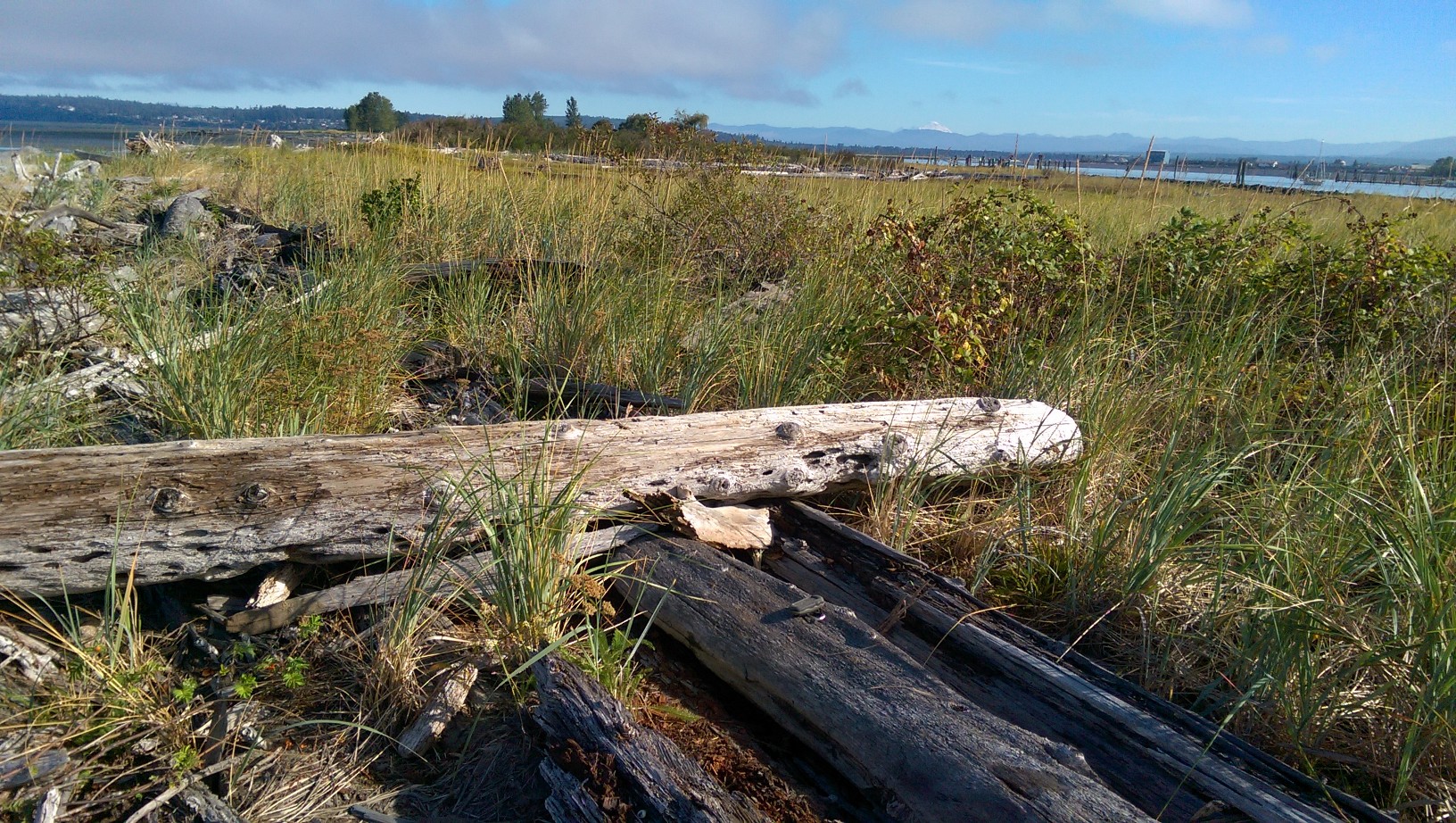 GC1NCAD The 48th Parallel (Traditional Cache) in Washington, United ...