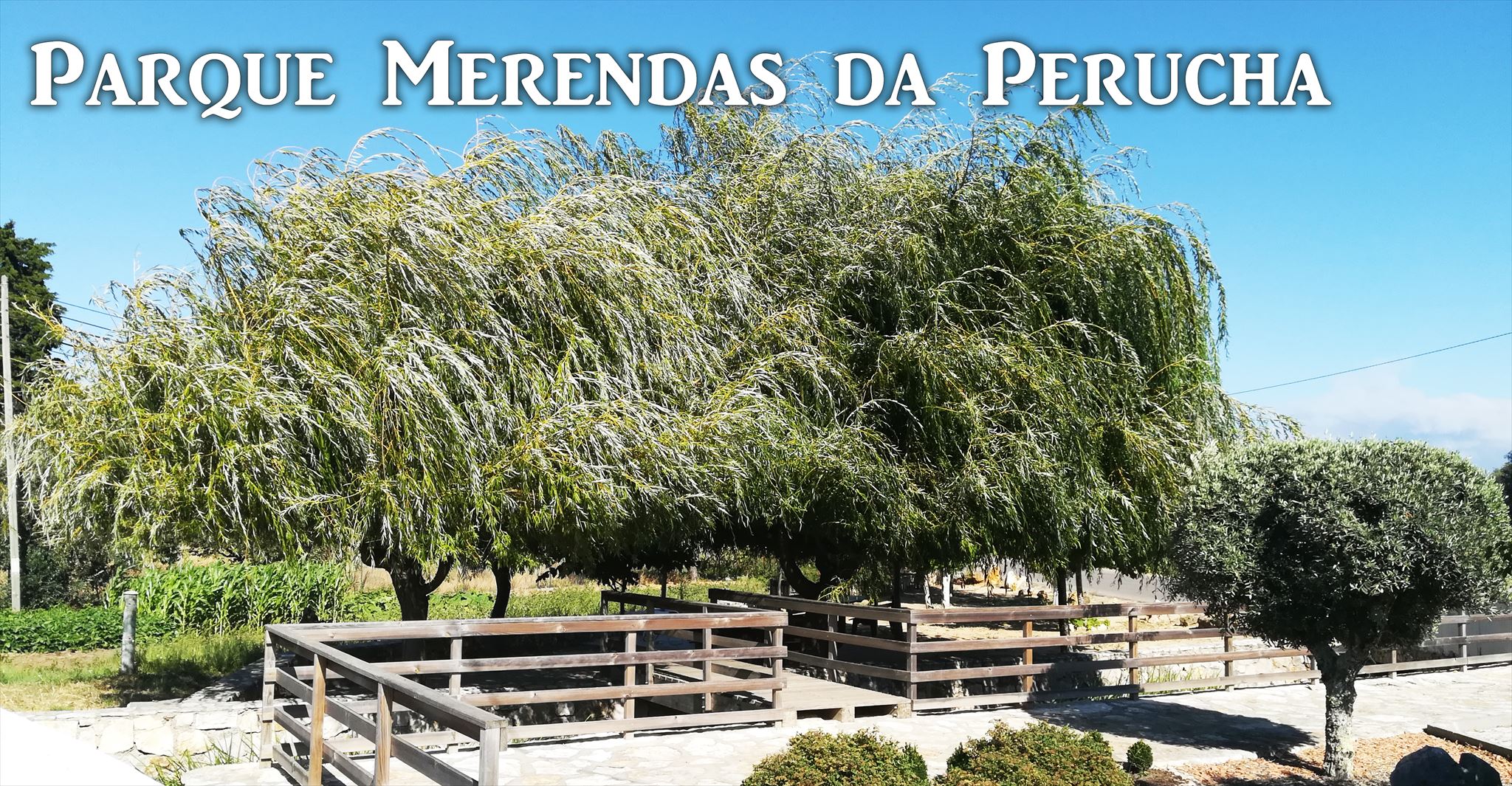 GCABEYQ Parque Merendas Perucha (Traditional Cache) in Santarém ...